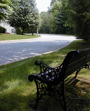 Conservation Subdivision Design Guide - Street Width